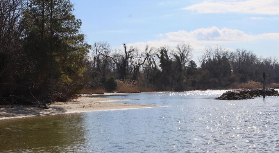 Water quality monitoring report presented in Calvert - NewsBreak