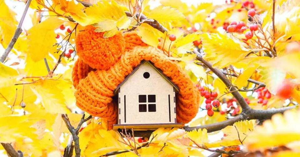 10 Must-Do Autumn Cleaning Tips to Make Your Home Cozy This Season ...