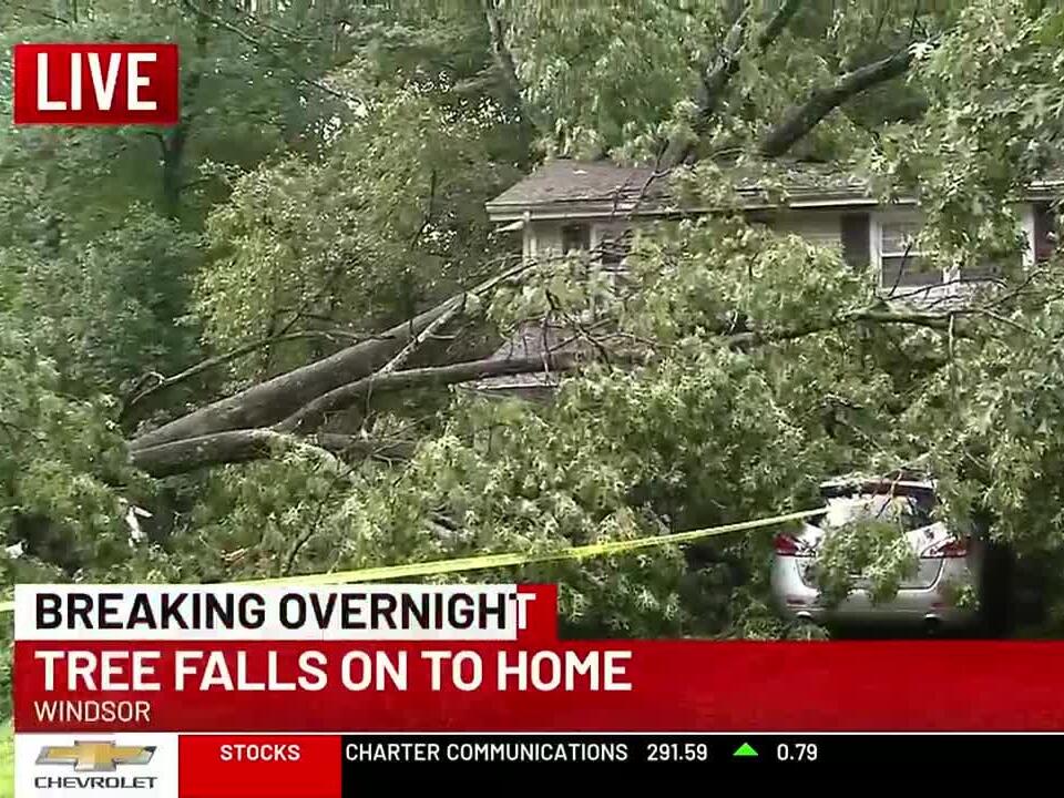 VIDEO: Tree falls on home in Windsor