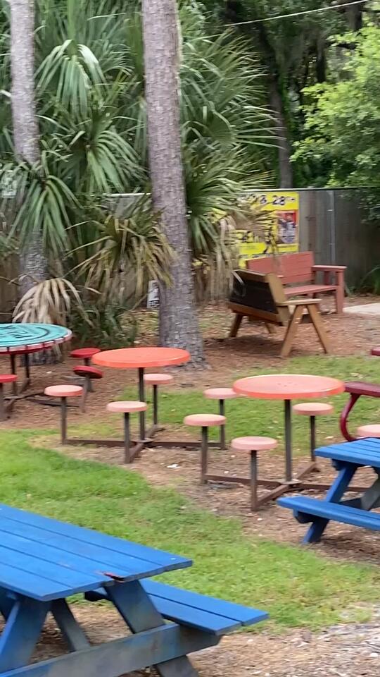 Cooney island the best gator dogs ever - NewsBreak