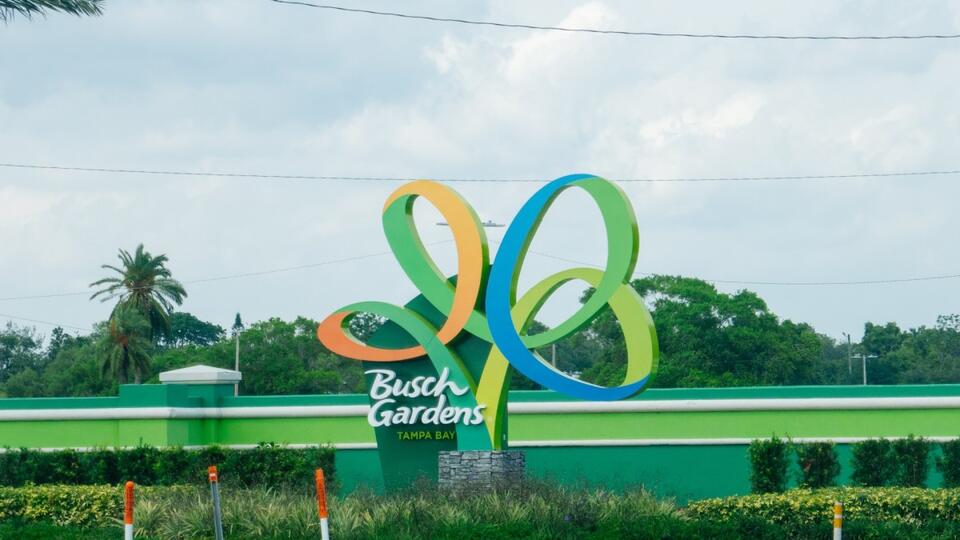 Busch Gardens in Tampa Just Welcomed a Critically-Endangered New ...