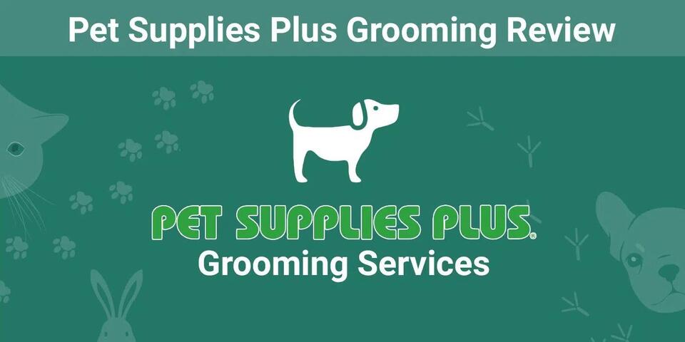 Pet Supplies Plus Grooming Review 2025: Services, Prices, User Ratings ...