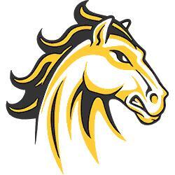 Basketball Recap: Cottonwood Makes It Eight in a Row at Home + How To ...