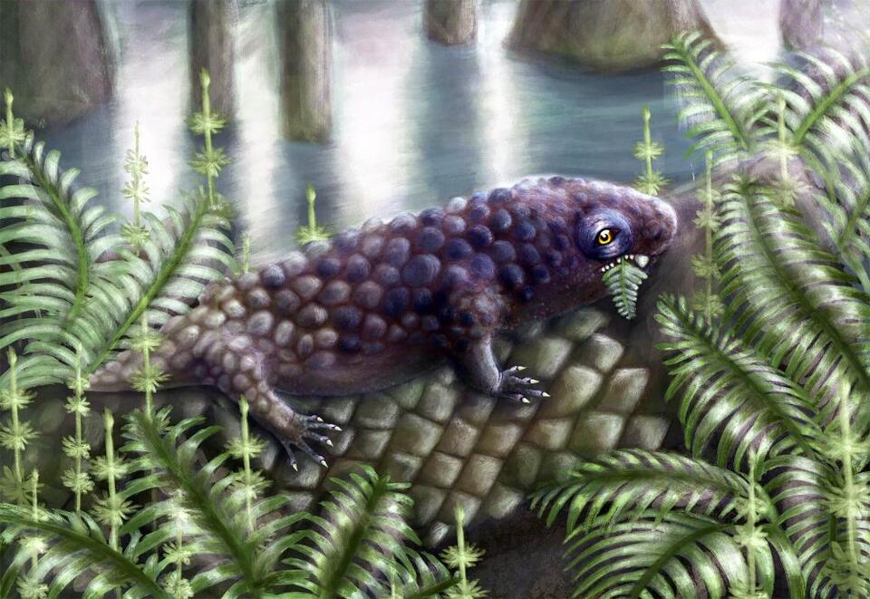 Scientists think this is the first plant-eating land animal - NewsBreak
