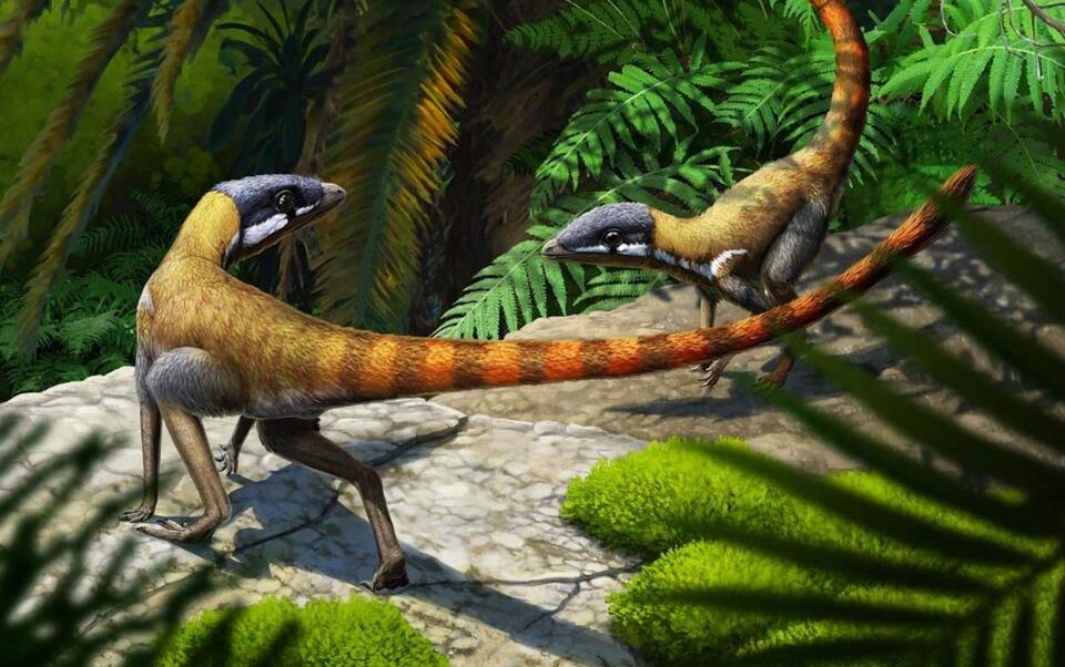 New Study Reveals Why Pterosaurs Took Off During the Triassic - NewsBreak
