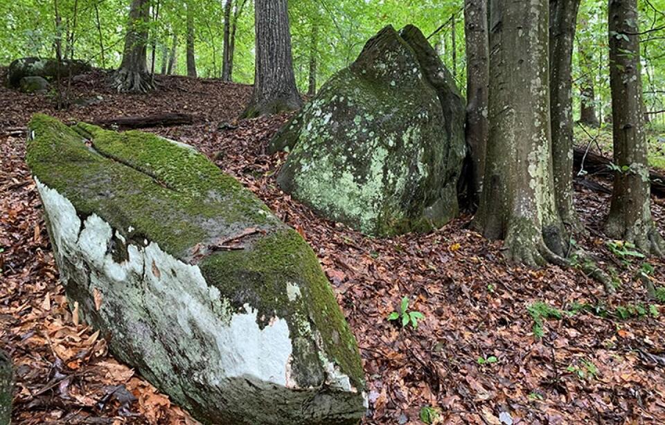 Biscuit Run Park Trail Closures Underway for Stream Restoration, New ...