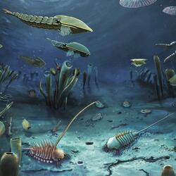 Just A Small Rise In Earth's Oxygen Levels Led To The Cambrian ...