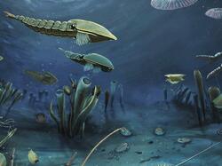 Just A Small Rise In Earth's Oxygen Levels Led To The Cambrian ...