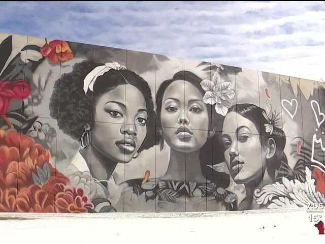 Detroit City Council rejects $215K contract for murals, official broke ...