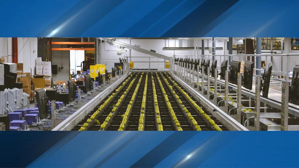 Yakima fruit processing facility closing: 200+ workers losing their ...
