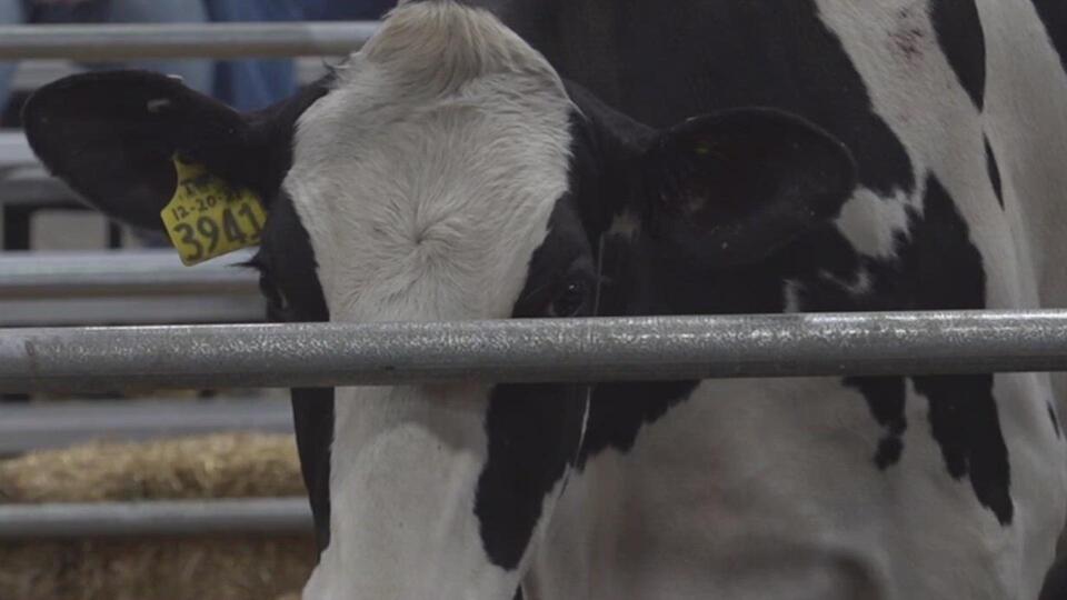 Animal health remains a top priority at the Pennsylvania Farm Show ...