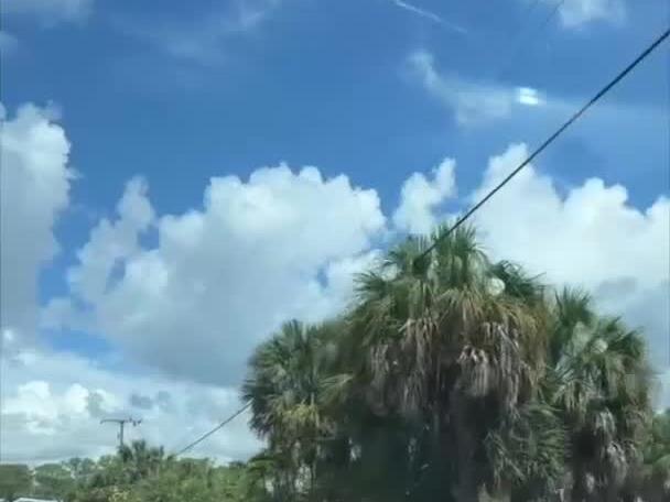 Mounds of Debris Line Roads in Florida's Siesta Key as Helene Relief ...