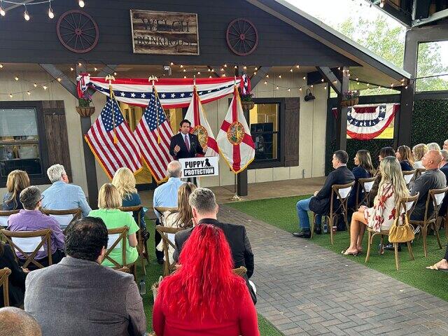 Gov. DeSantis plans legislation targeting abusive puppy mills - NewsBreak