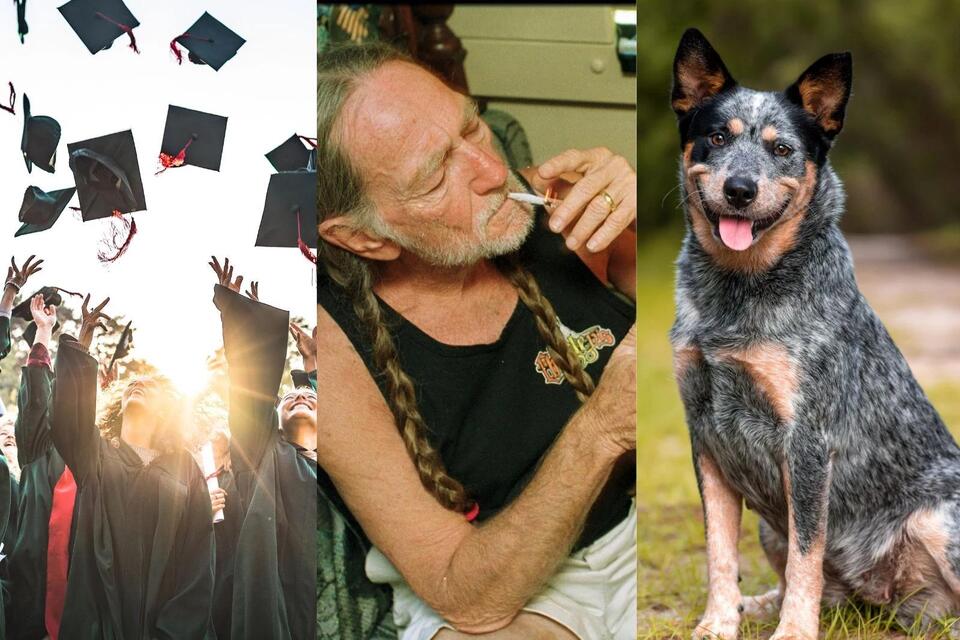 9 Country Music Stereotypes That Just Ain’t True [Photos] - NewsBreak