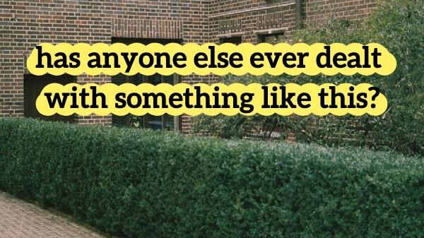 They wanted their bush back... a year later?!🤯 - NewsBreak
