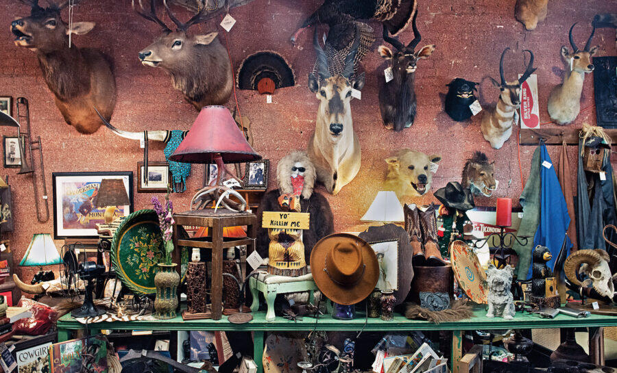 Inside America’s Flea Markets: David Ricci’s “Hunter Gatherer” - NewsBreak