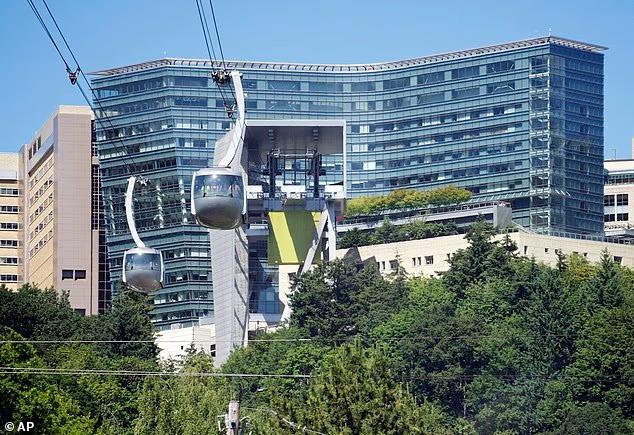 Portland hospital boss fired from new $1.4m job 'after raising concerns ...