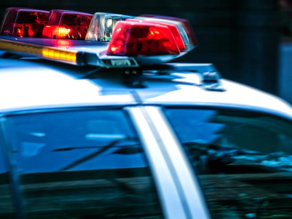 Three arrested on gun, drug charges in South Hadley