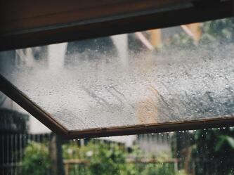 Alpine Daily Weather Forecast