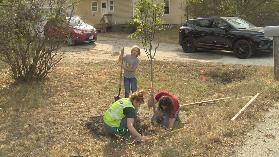 RNeighbors plants trees in Joyce Park - NewsBreak