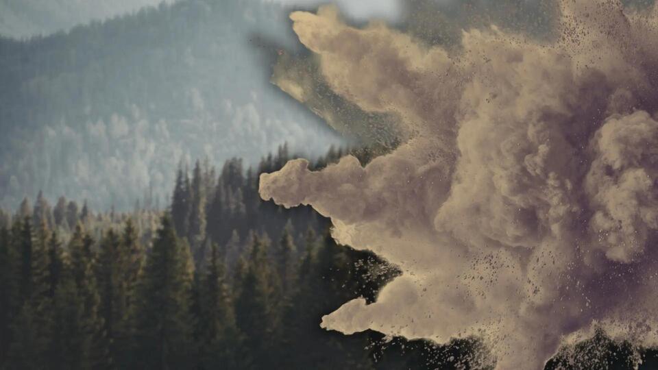 The Internet Is Panicking About ‘Exploding' Trees. Indigenous People ...