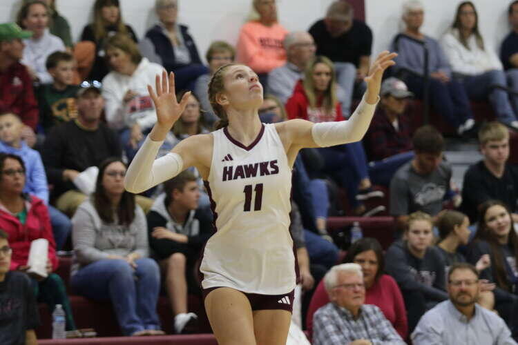 Cass City's Skylar Ignash earns MIVCA Division 3 honorable mention ...