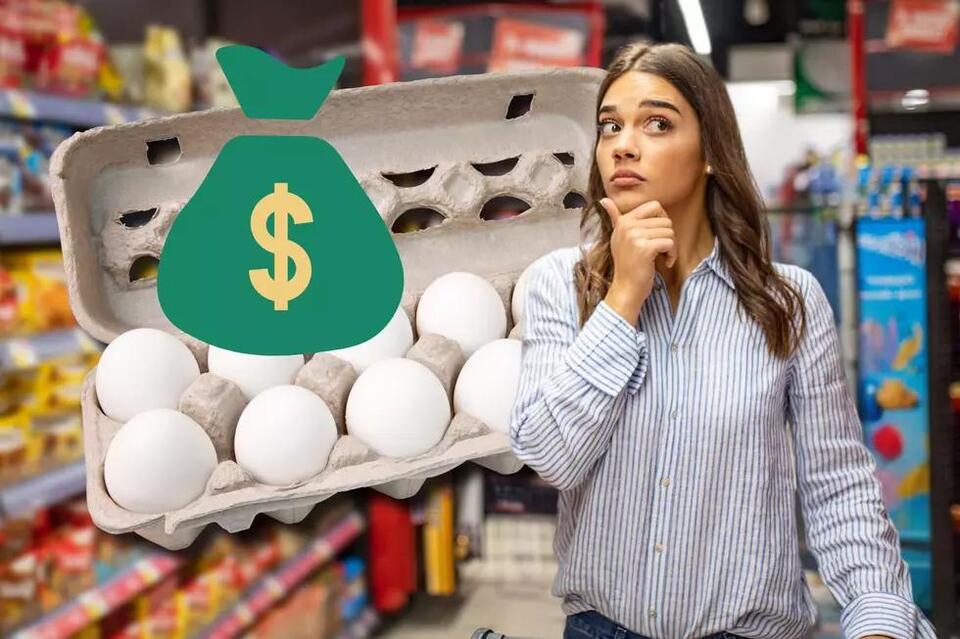 Egg-flation: The Wild Price Differences of Eggs in Rochester, MN ...