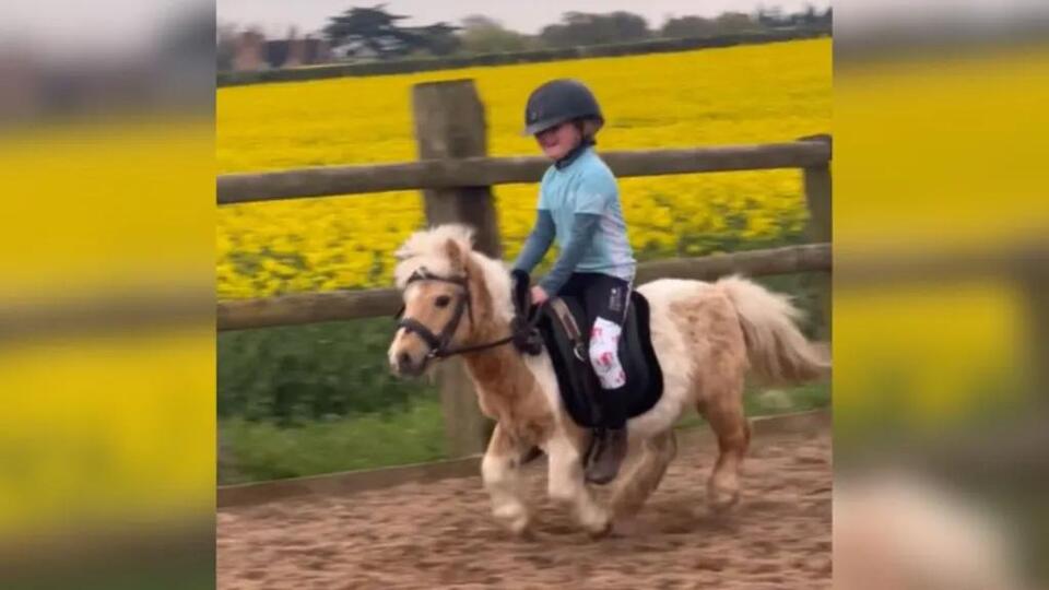 Watch: These Two Tiny Equestrians Will Trot Straight Into Your Heart ...