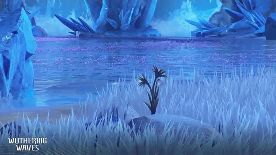 Where to farm Wintry Bell in Wuthering Waves: All locations, effects ...