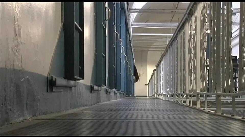 A closer look at the Pardon Project: A way to help clear non-violent ...