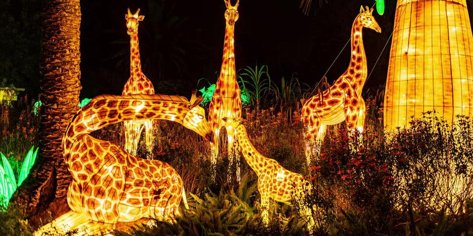 New Chinese lantern event coming to the Potawatomi Zoo - NewsBreak