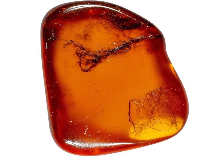 37 Authentic Places to Find Amber in Massachusetts in 2024