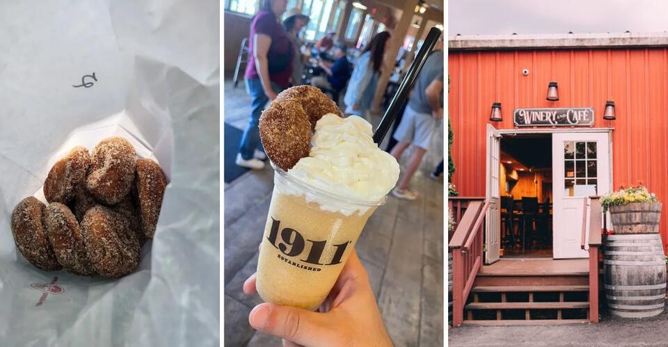 14 New York Apple Cider Donut Stops Where The Sugar Hits First And The ...