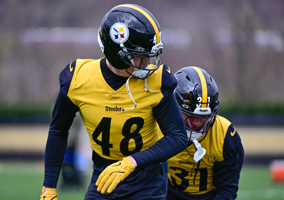 Former Steelers Safety Back on Market after Release by Dolphins - NewsBreak