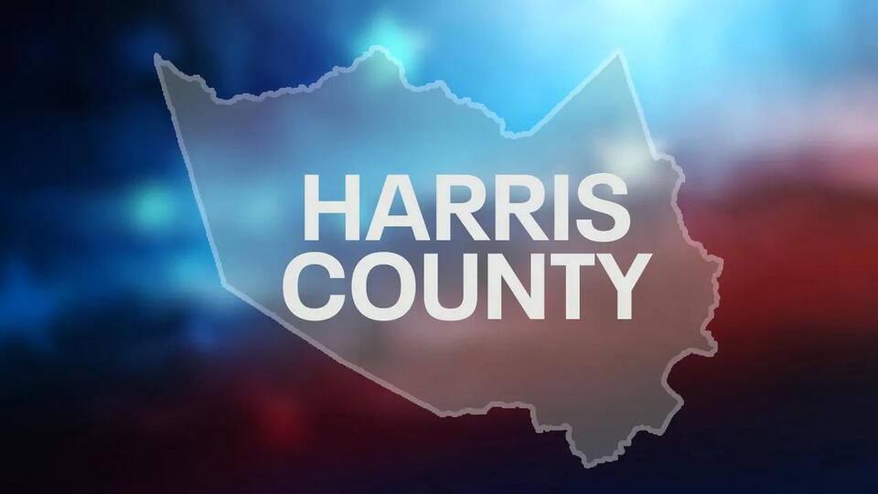 Harris County sample ballot for Nov. 4, 2025 Texas election - NewsBreak