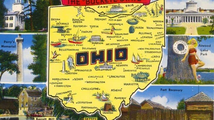 The Friendliest Dog Breeds for Families in Ohio - NewsBreak