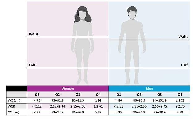 The size of a surprising body part can predict how long you will live ...