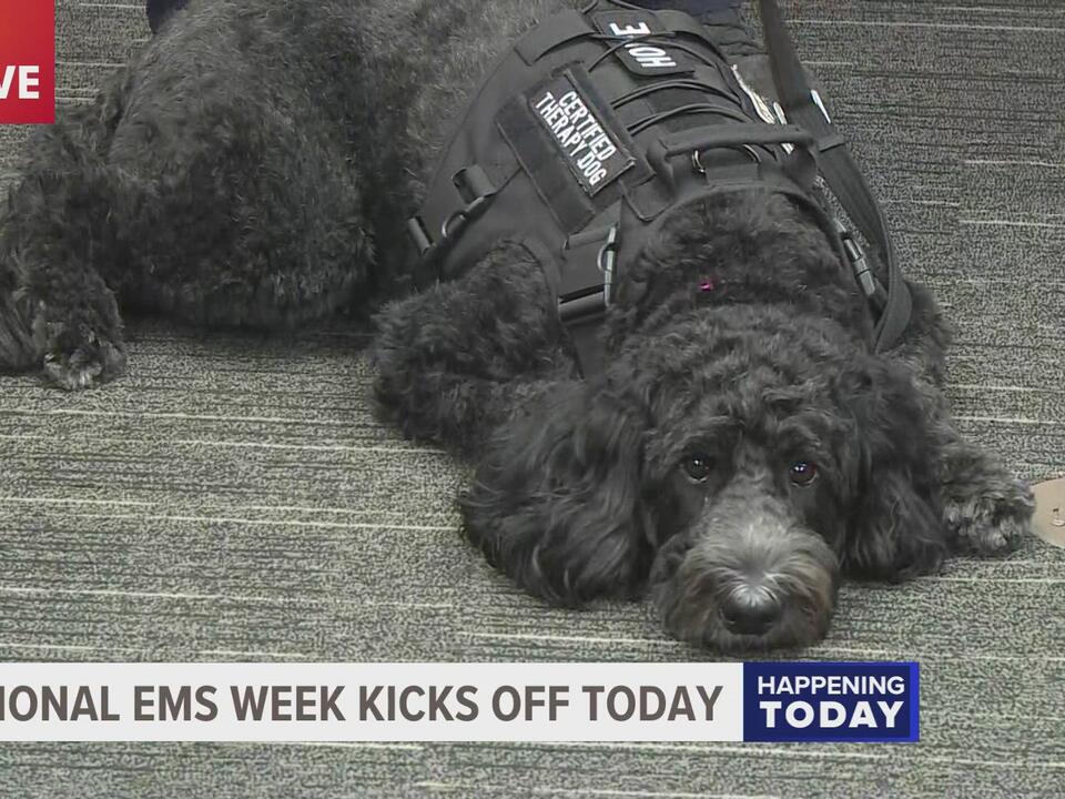 National EMS Week | Therapy dog program helping EMS workers in Grand Rapids