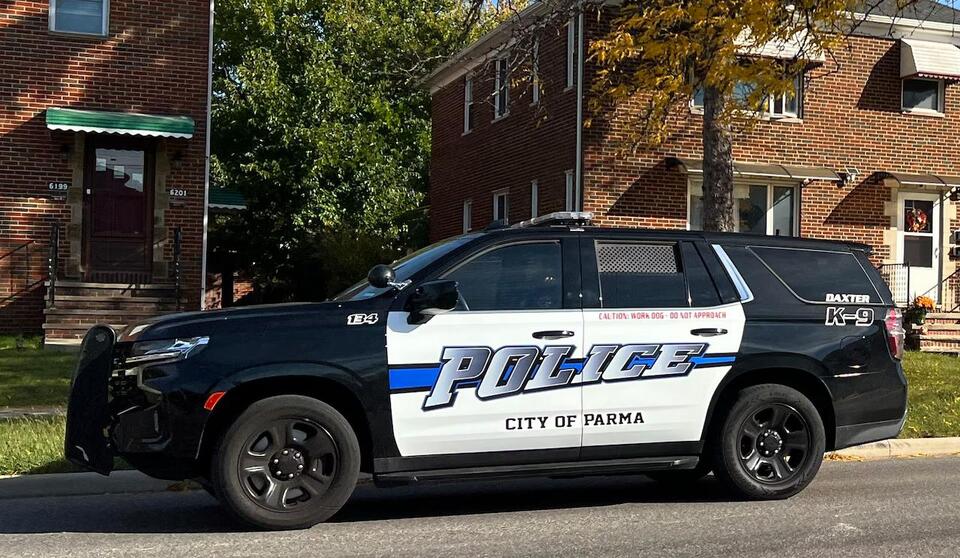 Parma man attempts to rip-off State Road gun store: Parma Police ...