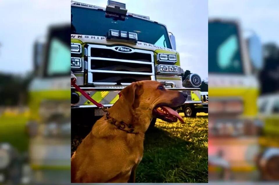 Families Enjoyed Food And Fun At Lake Lenape Park For National Night ...