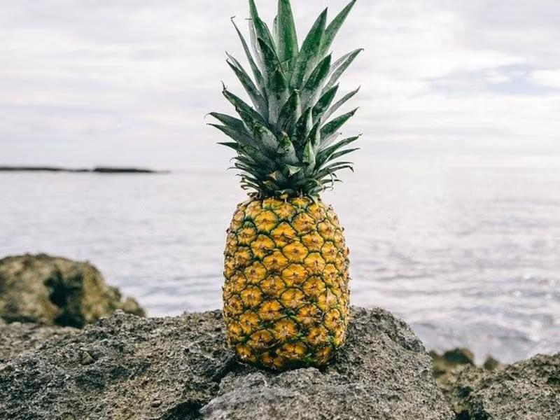 Pine for a pint: Blood Bank of Hawaii celebrates National Pineapple Day ...
