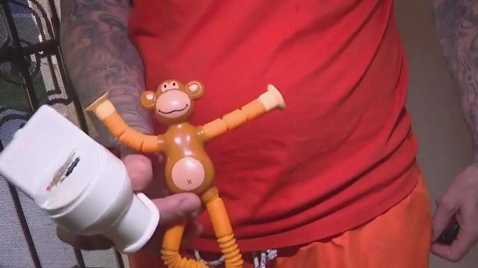 Family outraged after girl receives monkey, toilet with fake poop as ...