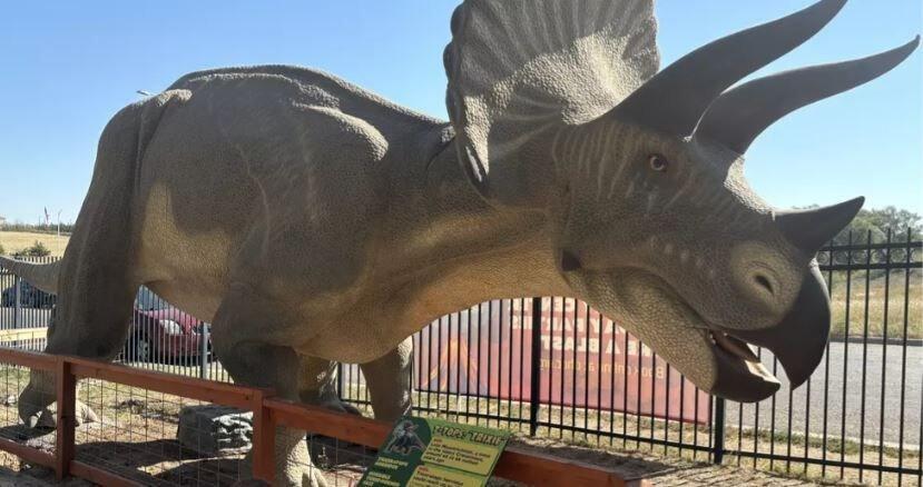 Best Amarillo Day Camps: Discovery Center February 2026 - NewsBreak