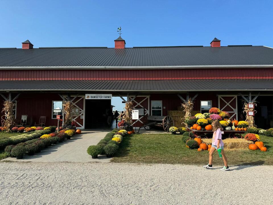 From pumpkin patches and pig races to corn mazes, here's where to find ...