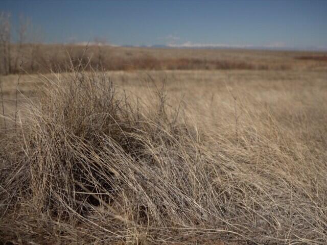 Exploring the living prairie classroom of the Plains Conservation ...