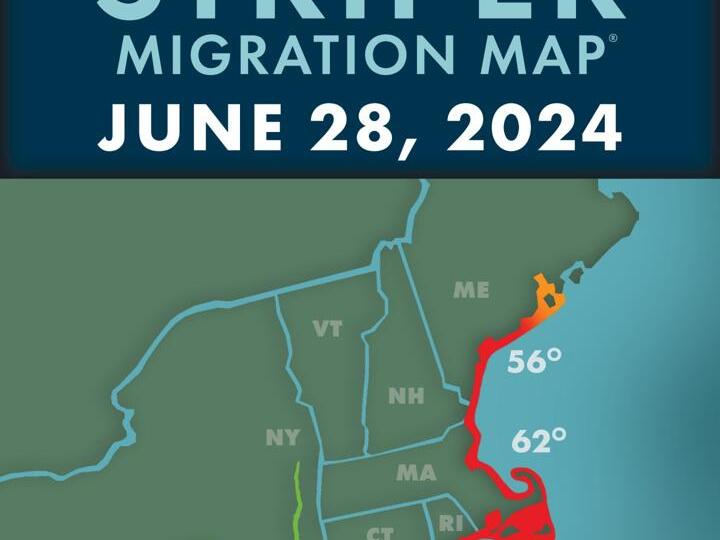 Striper Migration Map – June 28, 2024 Striper Migration Map – June 28, 2024