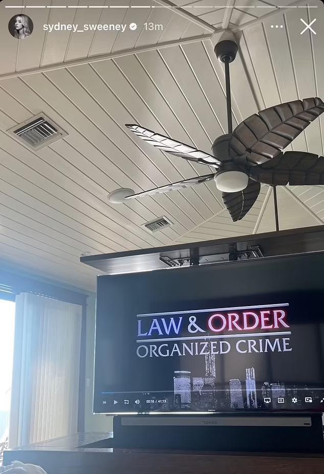 Sydney Sweeney is accused of illegally streaming Law & Order as eagle ...