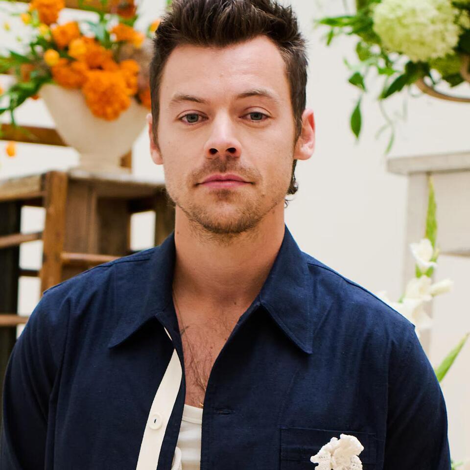 Harry Styles Finally Explains Appearance at Pope Leo XIV’s Conclave ...