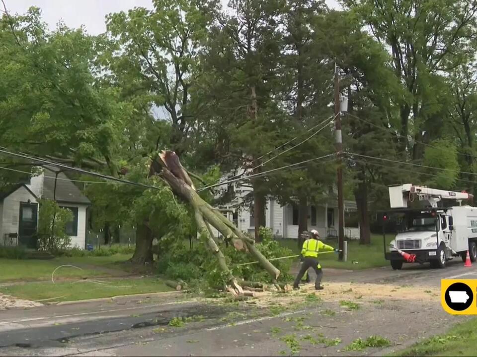 Downed trees reported in Iowa City following severe storms Downed trees reported in Iowa City following severe storms