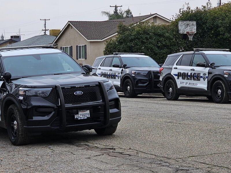 Reedley police make progress on animal abuse incident